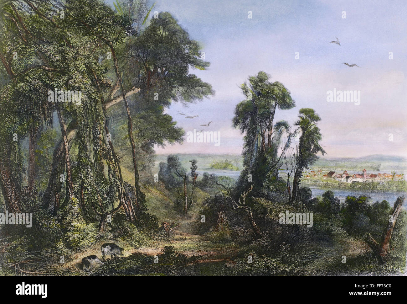 New harmony indiana engraving hi-res stock photography and images - Alamy