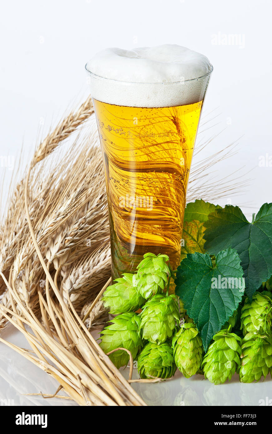 glas of beer and hops and barley Stock Photo - Alamy
