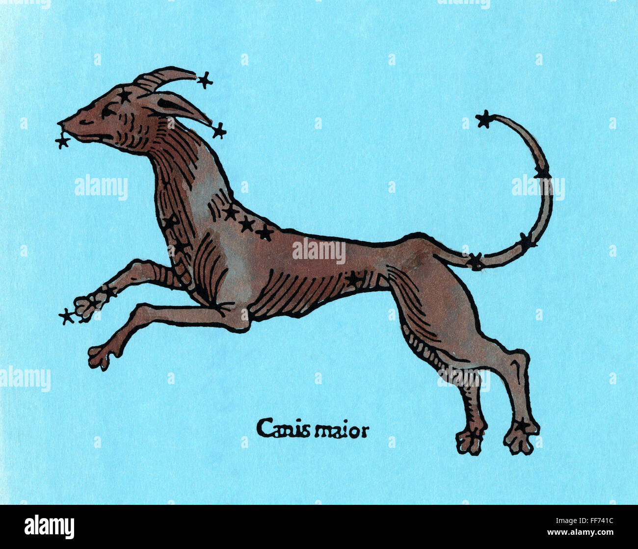 CANIS MAJOR, 1482. /nFiguration of Canis Major. Color woodcut from ...