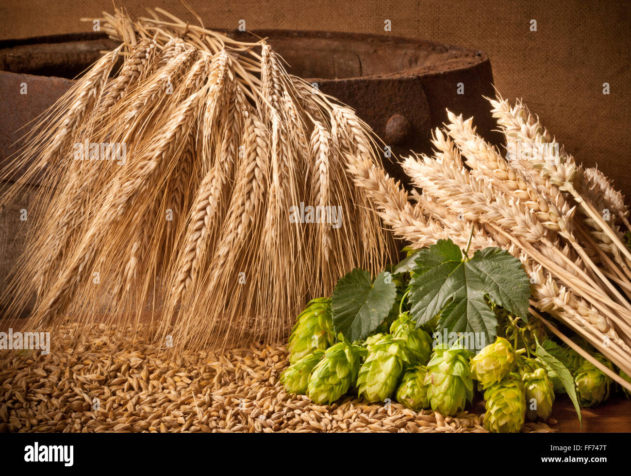 hops, barley and wheat on the old barrel Stock Photo - Alamy