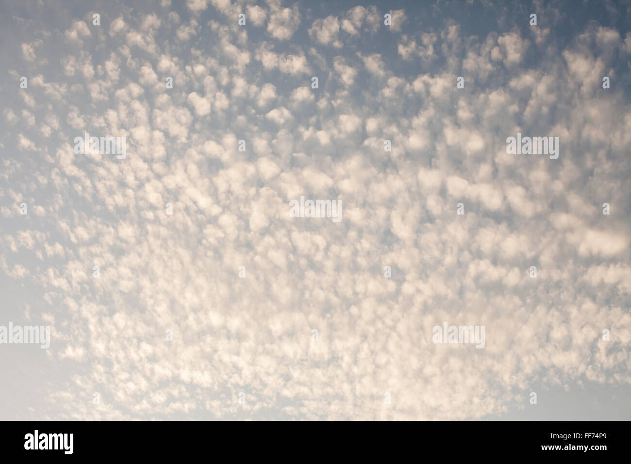 Sky clouds texture, background. Dramatic cotton candy sky cloud texture ...