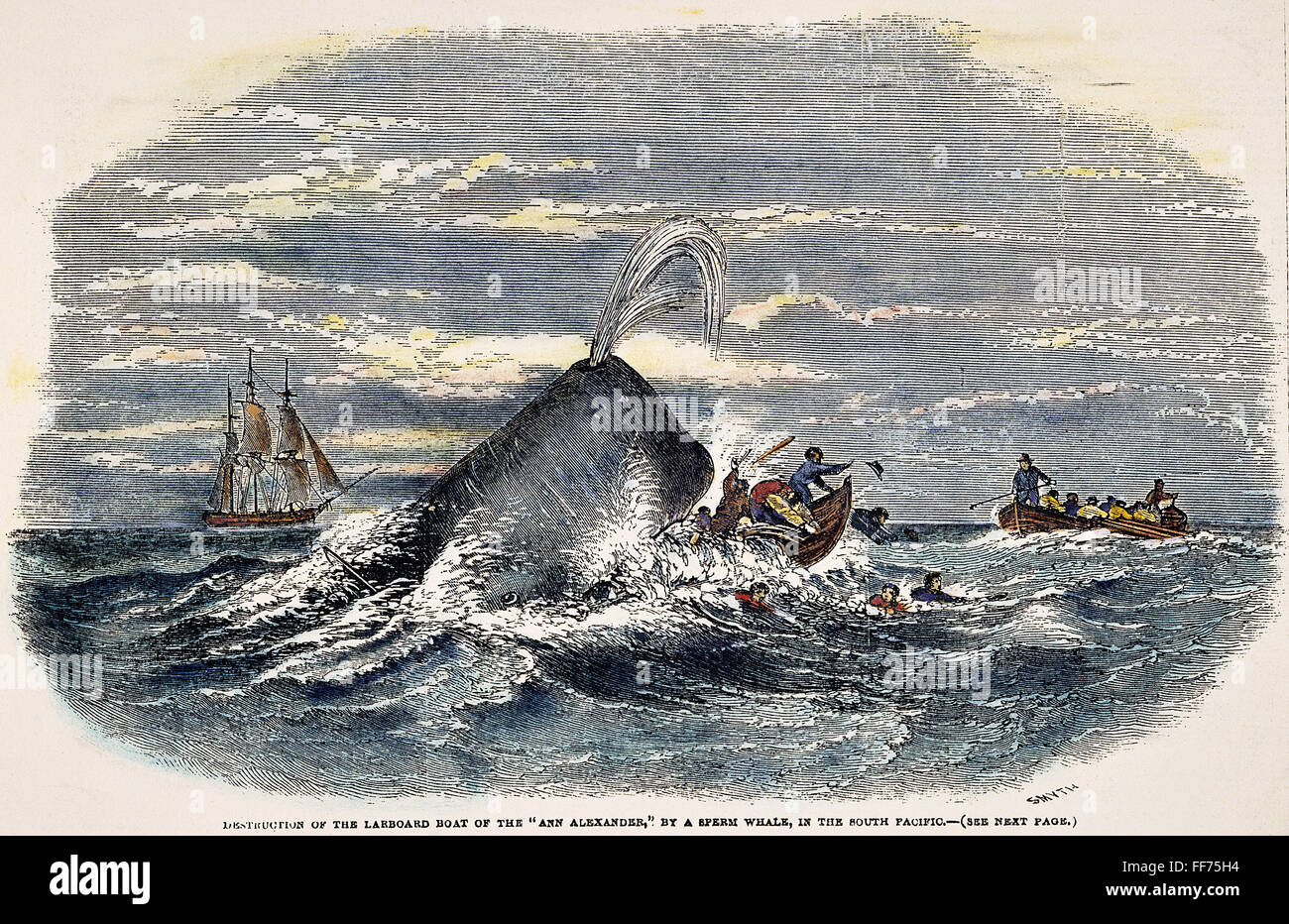 SPERM WHALE ATTACK, 1851. /nDestruction of a rowboat from the whaling ...