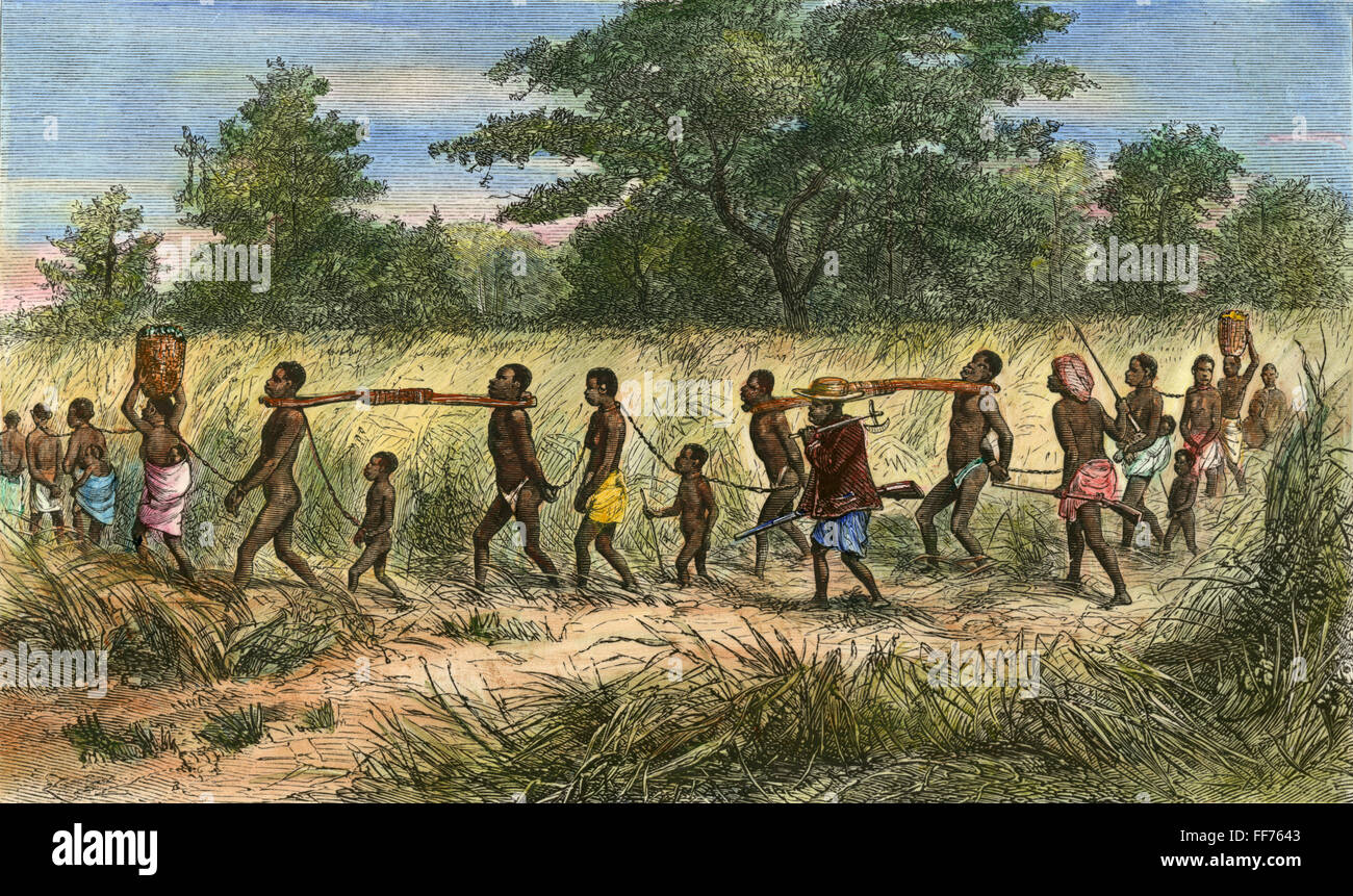 SLAVE TRADE: 19th CENTURY. /nAfrican captives, yoked in pairs, force ...