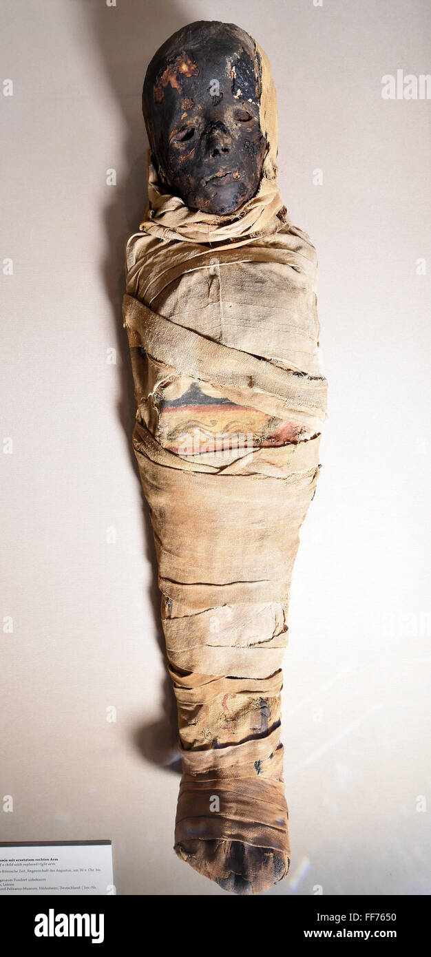 Egyptian child mummy hi-res stock photography and images - Alamy