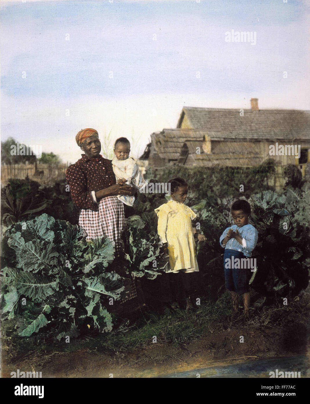 Sharecropper, african american hi-res stock photography and images - Alamy