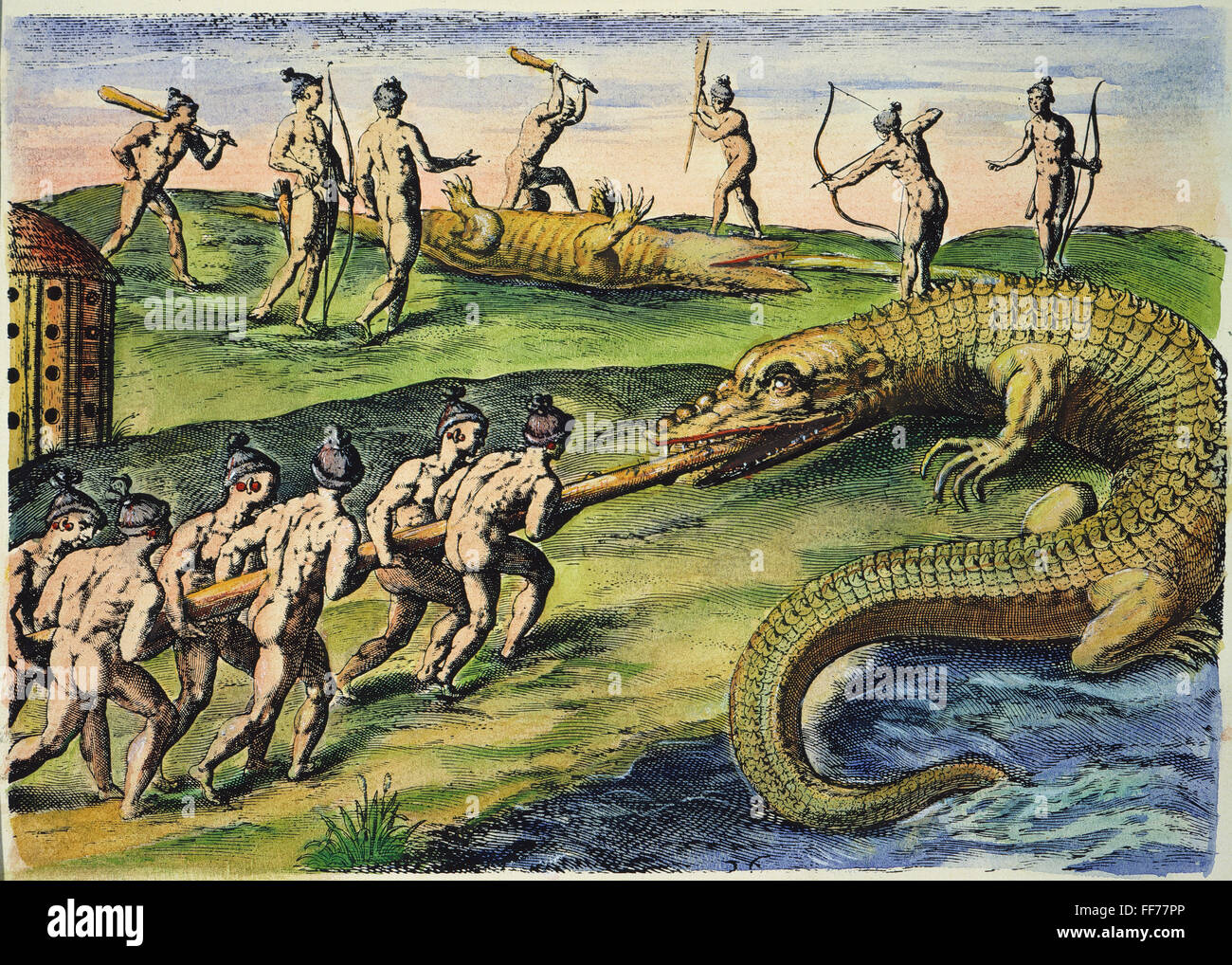 NATIVE AMERICANS: CROCODILES, 1591. /nFlorida Native Americans killing ...