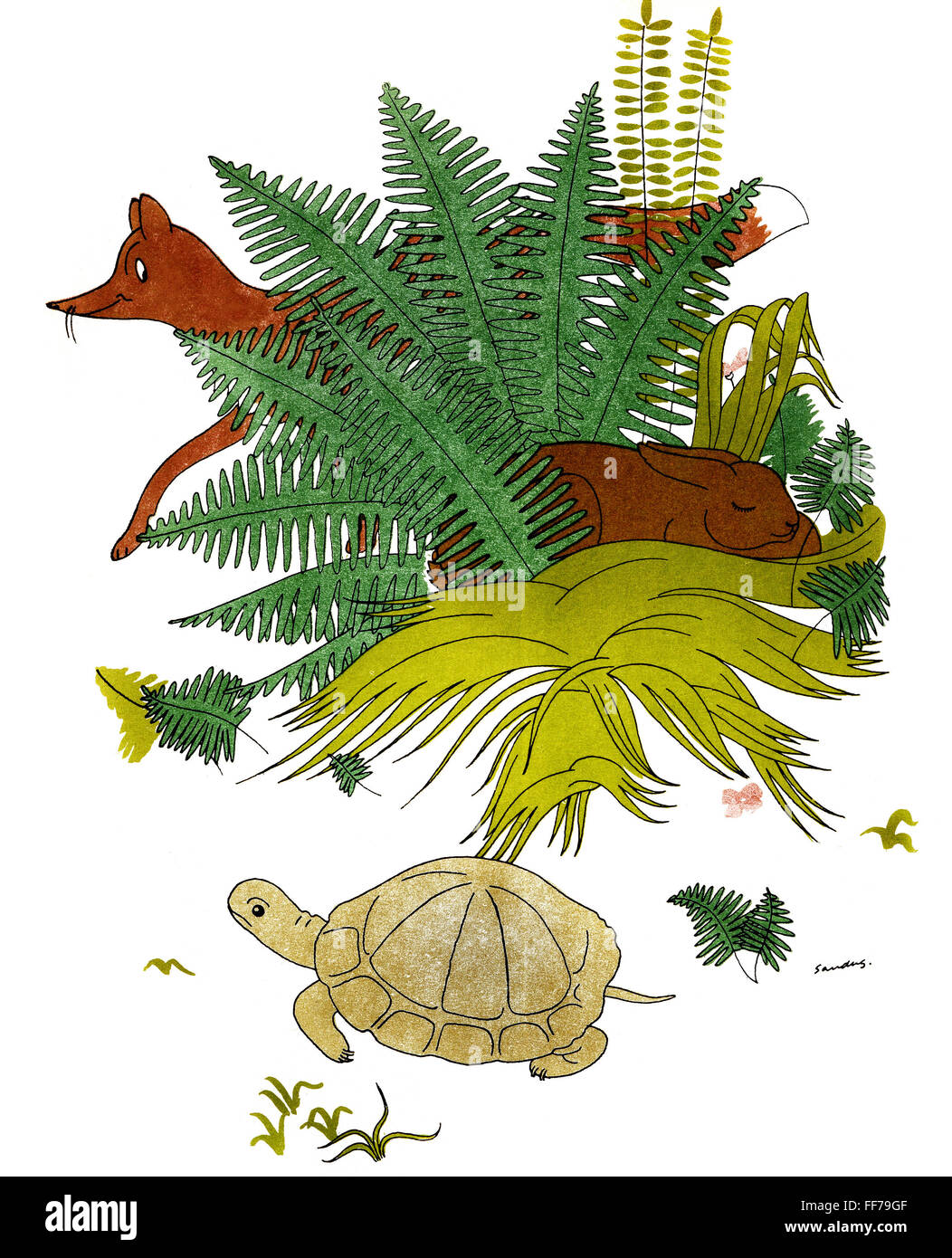 AESOP: TORTOISE & THE HARE. /n'The Tortoise and the Hare.' Watercolor ...