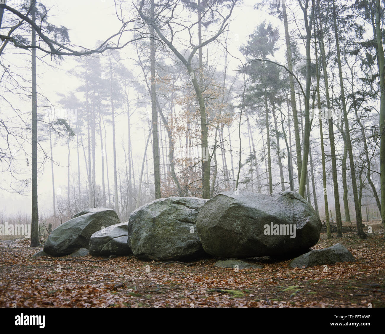 Prehistory of germany hi-res stock photography and images - Alamy