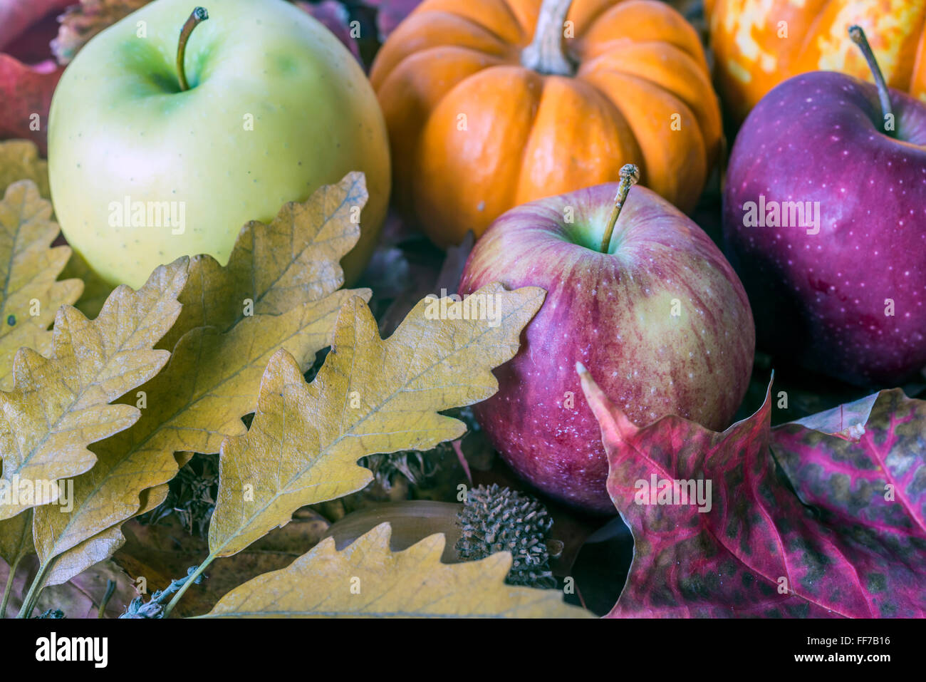Autumn leaves with apples and pumpkins Stock Photo - Alamy
