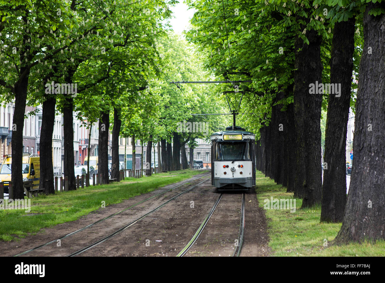 A Belgium tram travels through a green park on the Ghent tram network ...