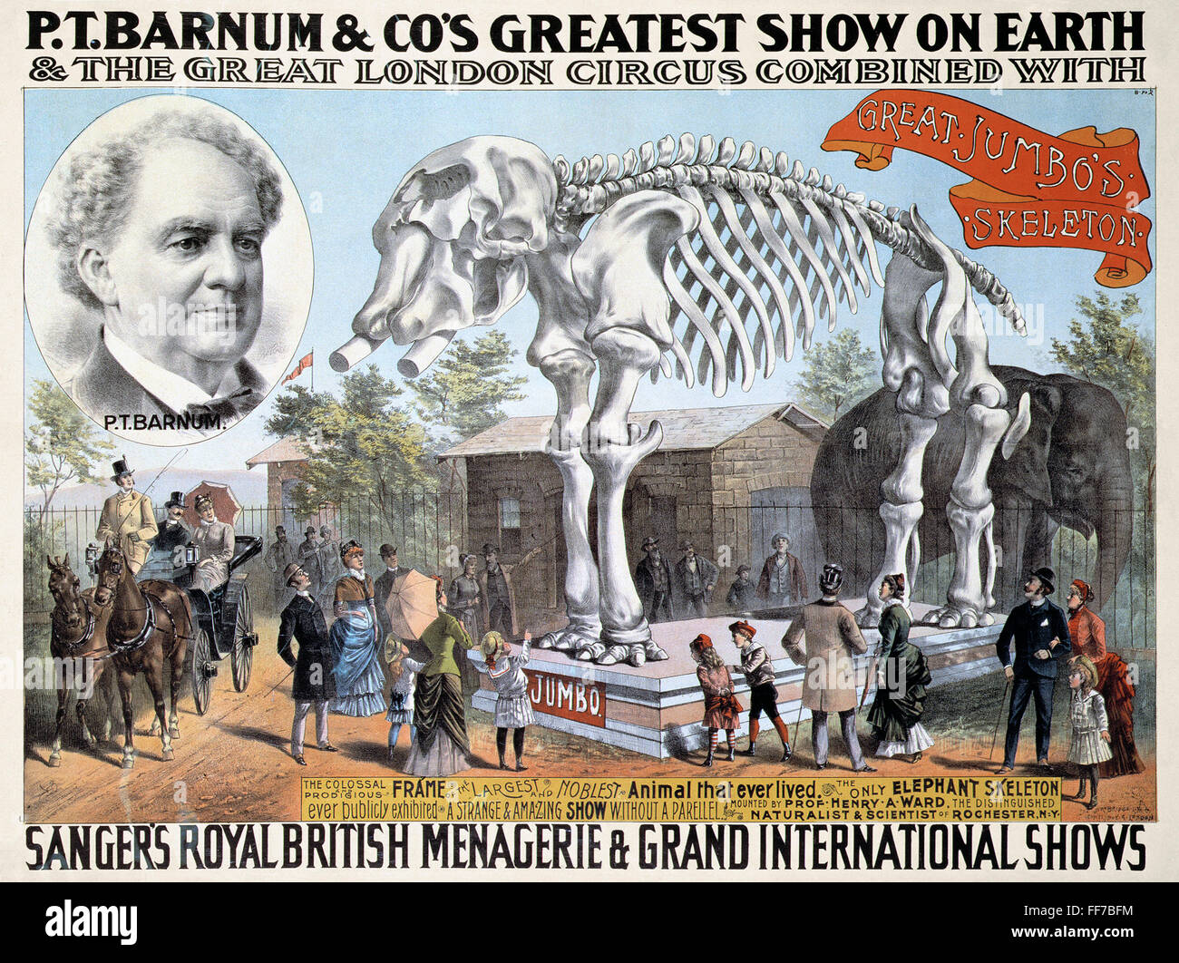 POSTER: JUMBO SKELETON. /nCircus poster for P.T. Barnum's Greatest Show ...