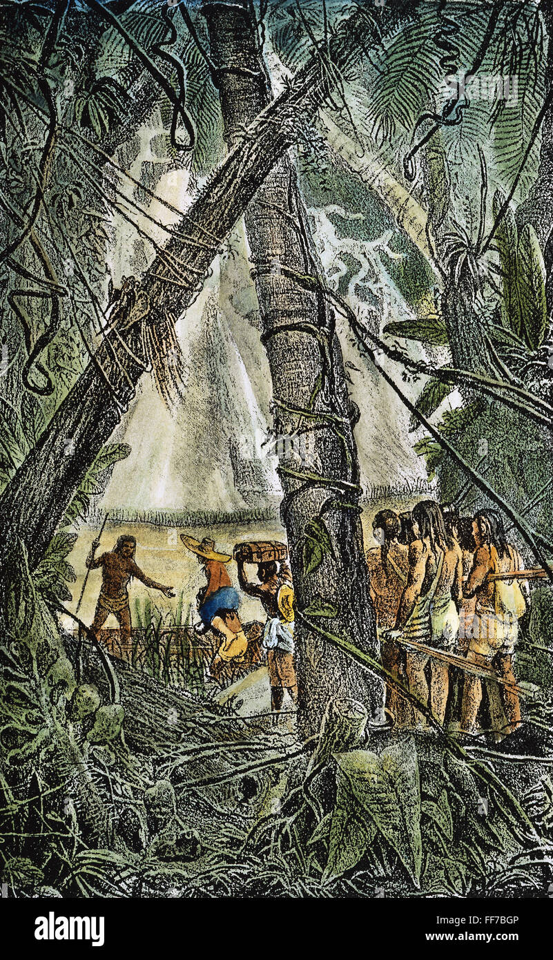 AMAZON: EXPLORATION. /nAn exploring expedition along the Amazon River ...