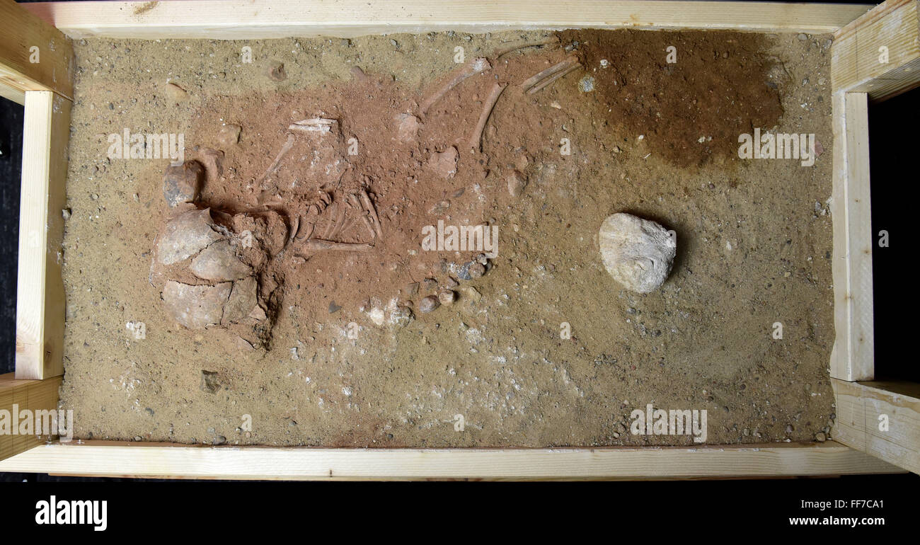 Mesolithic age hi-res stock photography and images - Alamy