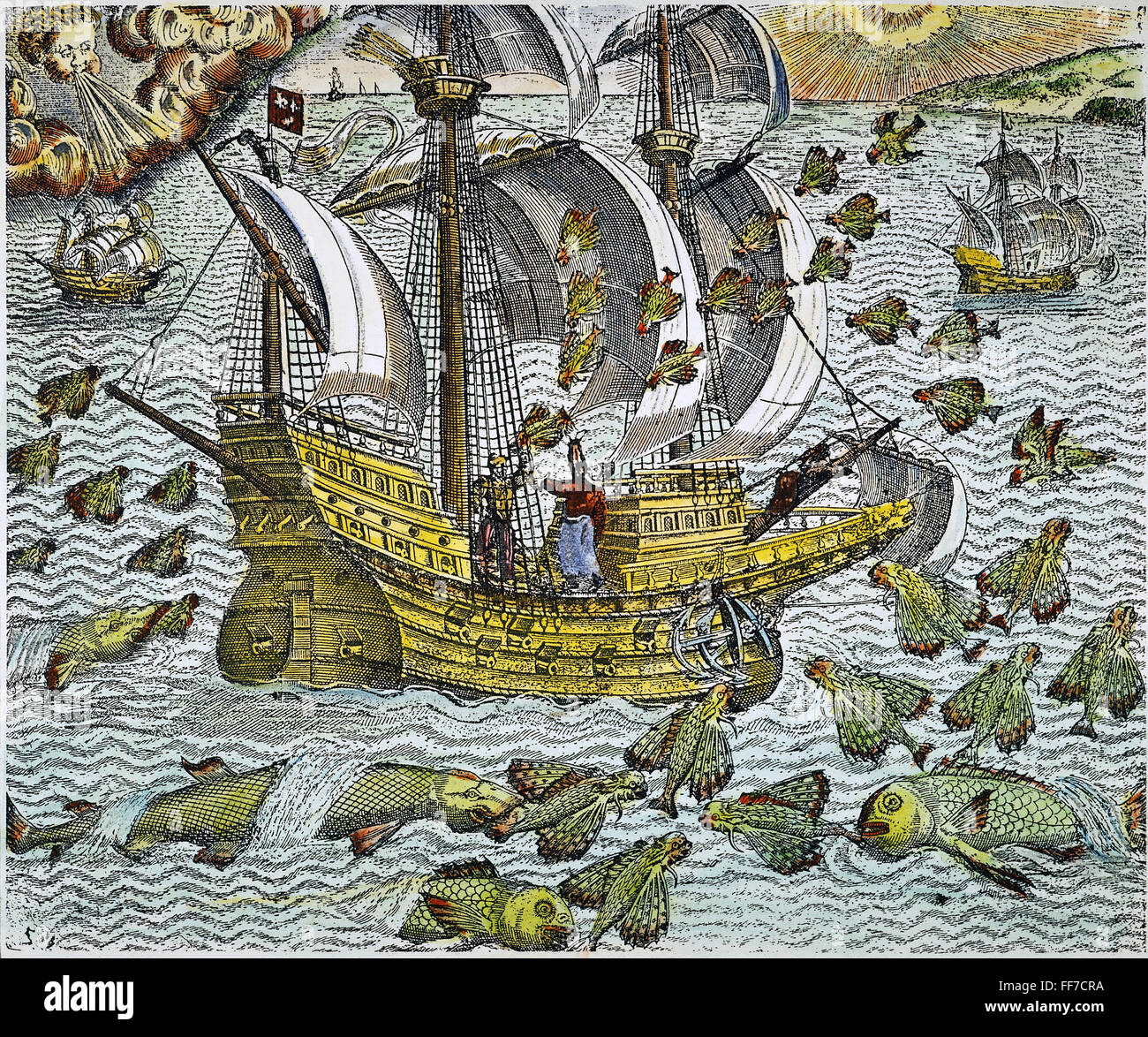 FLYING FISH, c1548. /nFlying fish, attempting to escape predators, fall ...