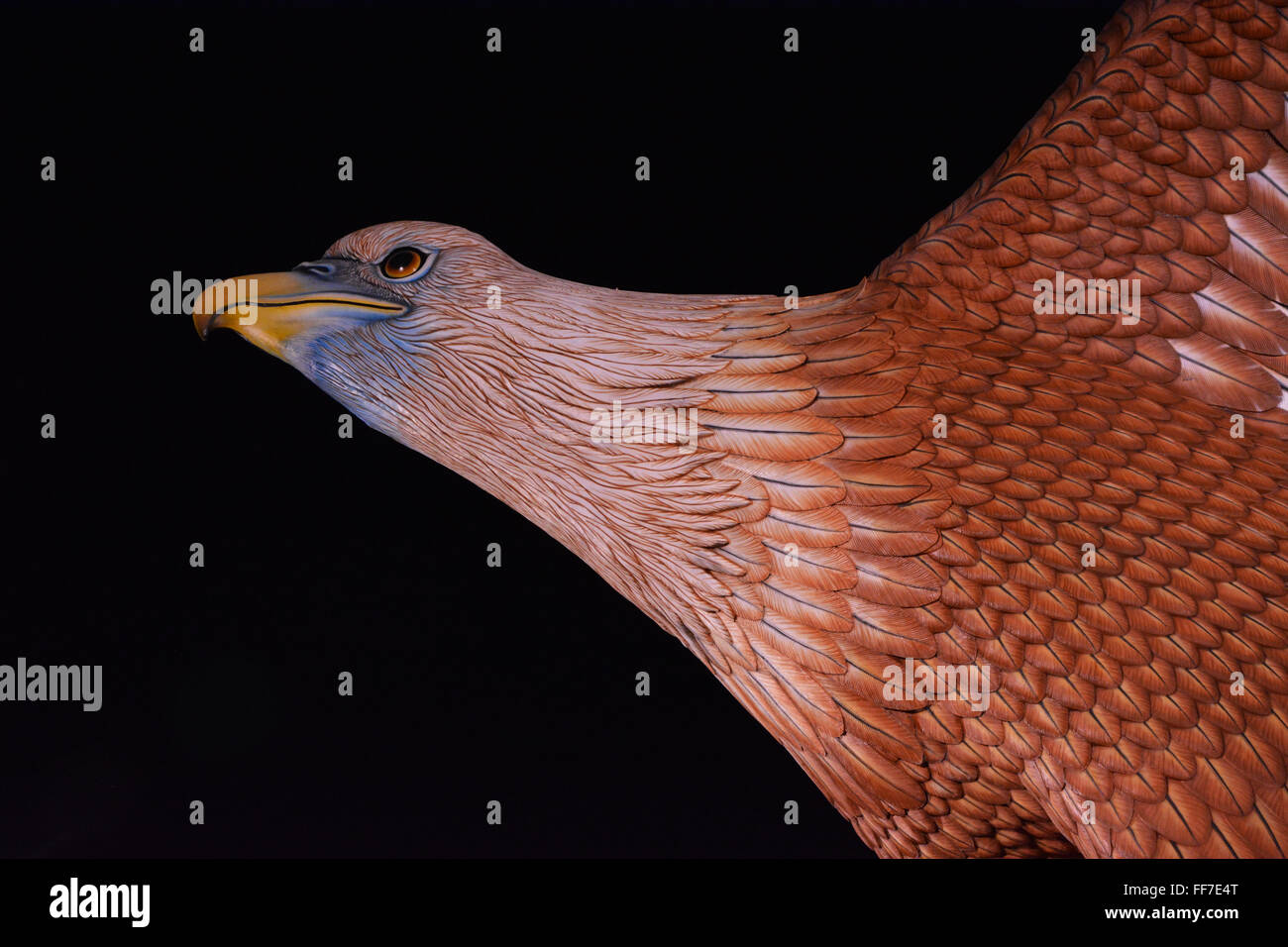 Captured eagle hi-res stock photography and images - Alamy