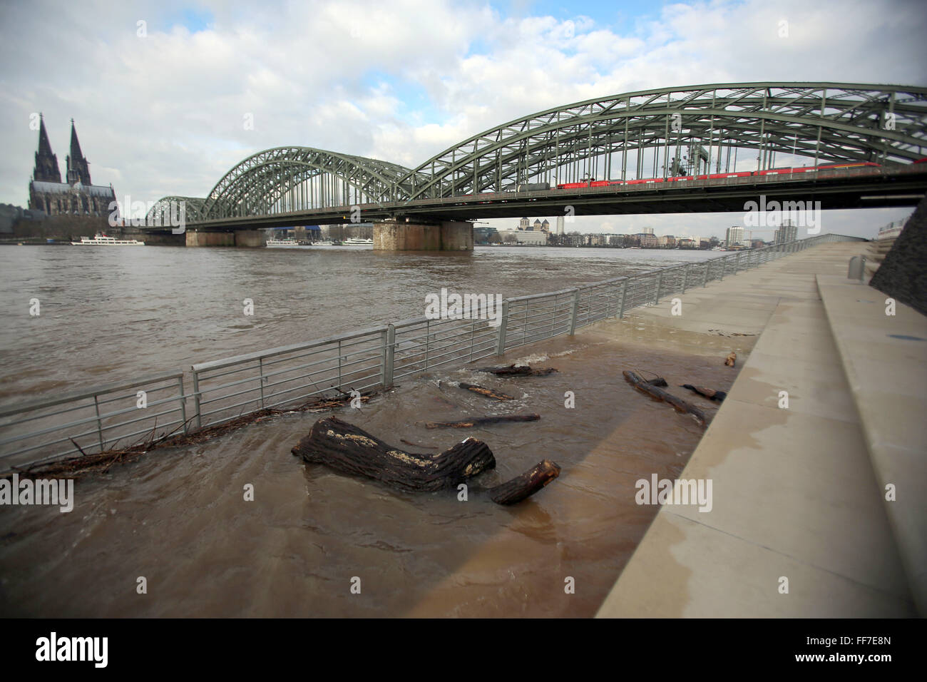 Cologne, Germany. 11th Feb, 2016. Drift wood swims on the flood steps ...