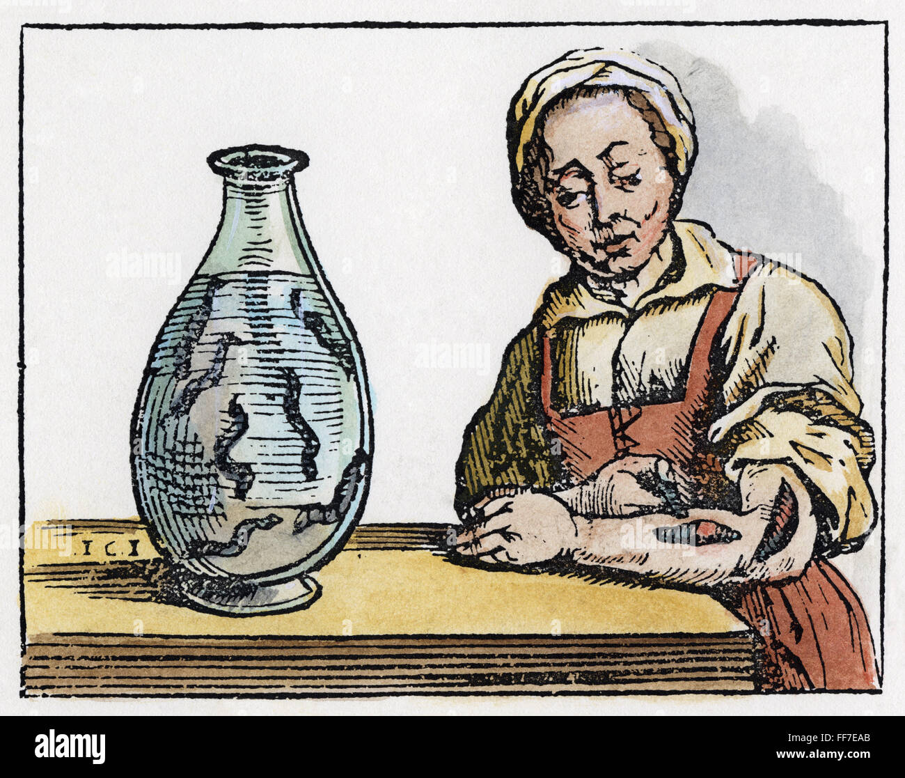 Leeches medicine hi-res stock photography and images - Alamy