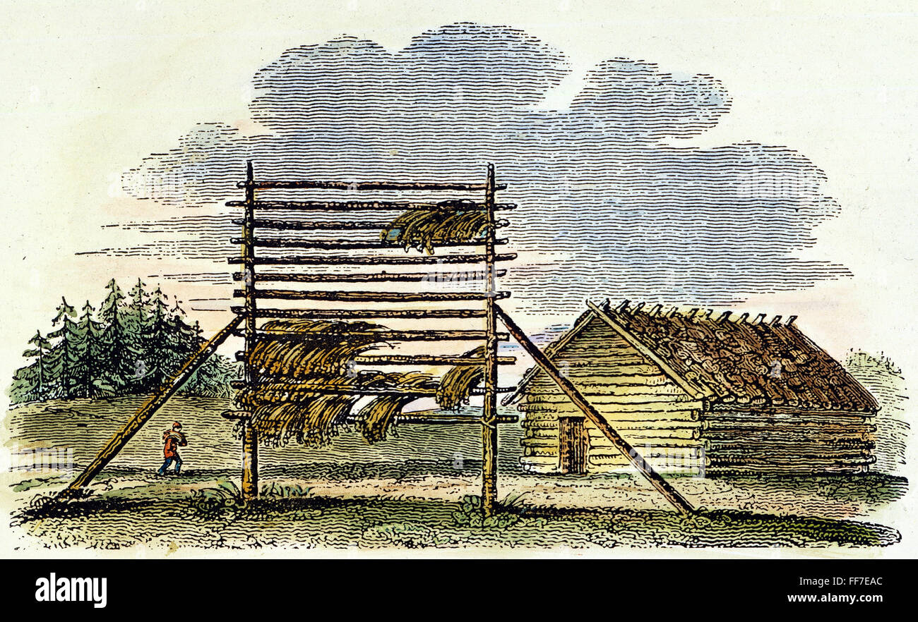 WEST: SWEDISH LOG CABIN. /nThe Scandinavian peasant's house that ...