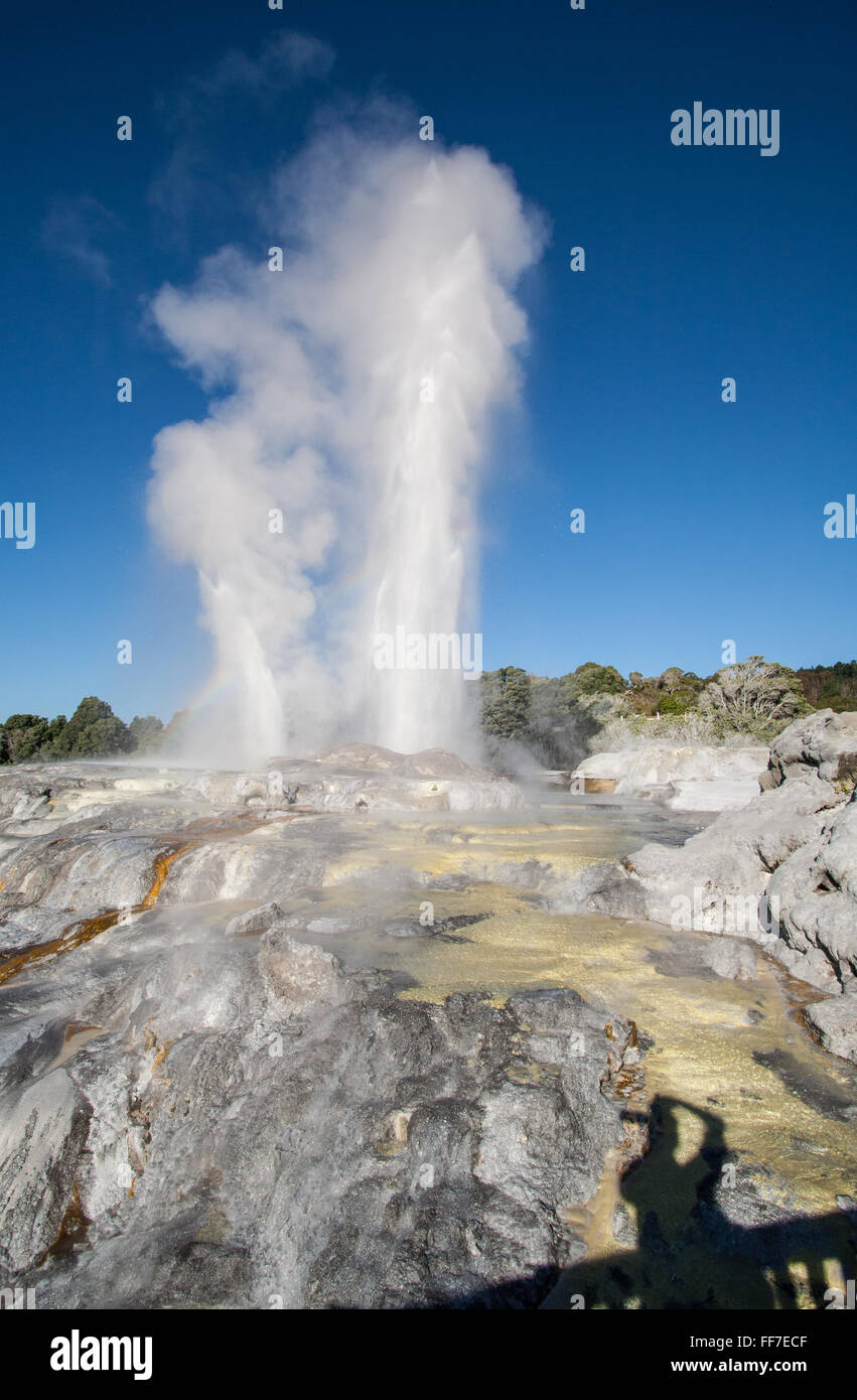 Geyser tattoo - Bronctattooaus.com