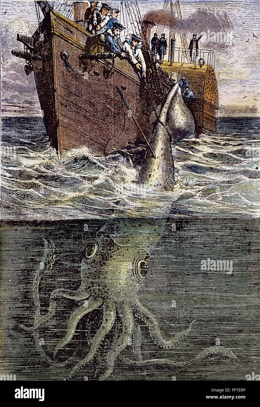 SEA MONSTER. /nSailors of the French corvette 'Alecton' harpooning a ...