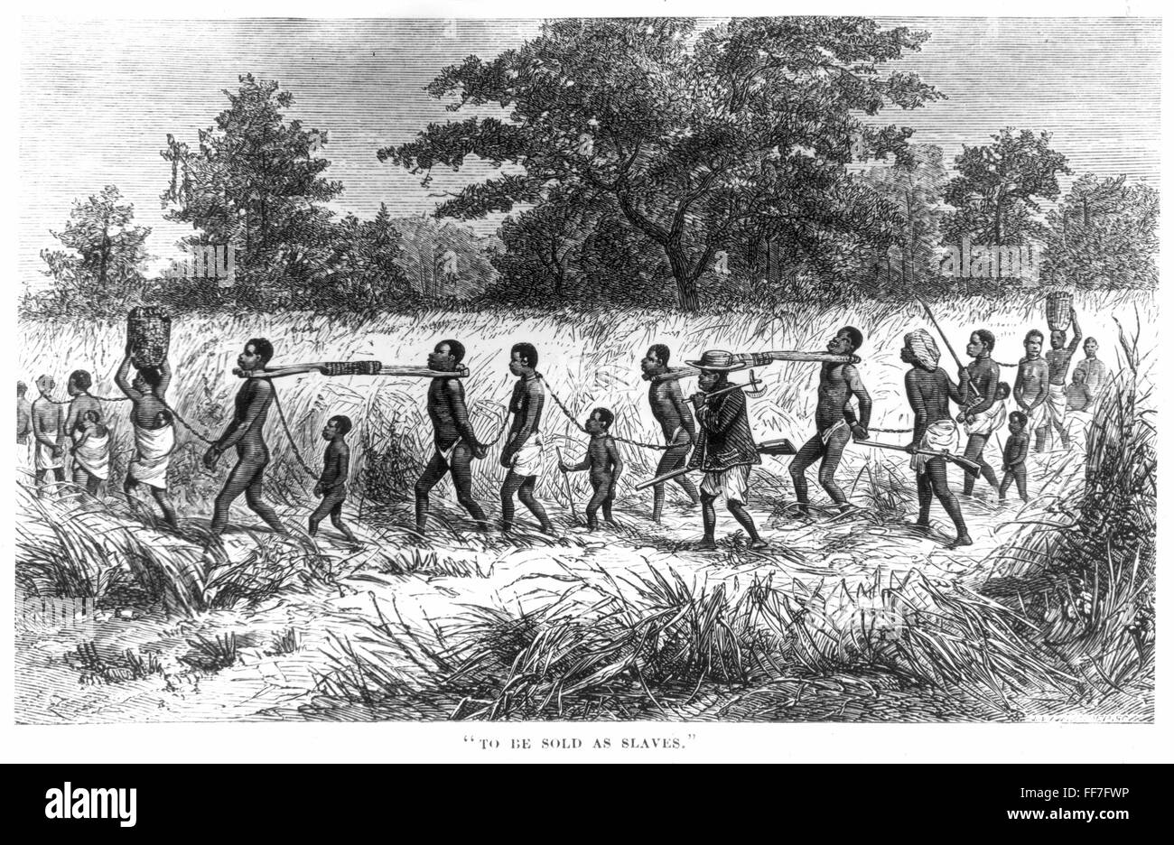 SLAVE TRADE: 19th CENTURY. /nAfrican captives, yoked in pairs, force ...