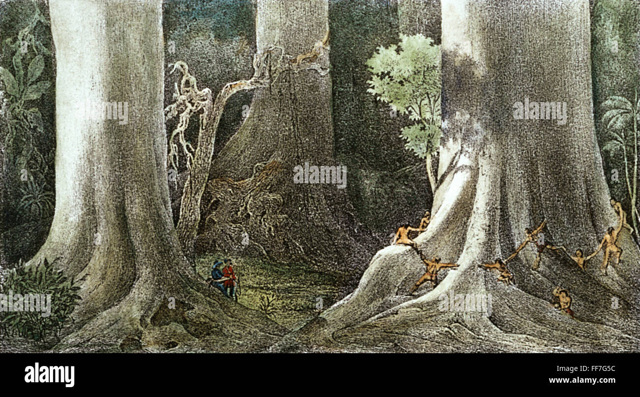 AMAZON: EXPLORATION. /nThe Bavarian naturalists, Spix and Martius, in ...