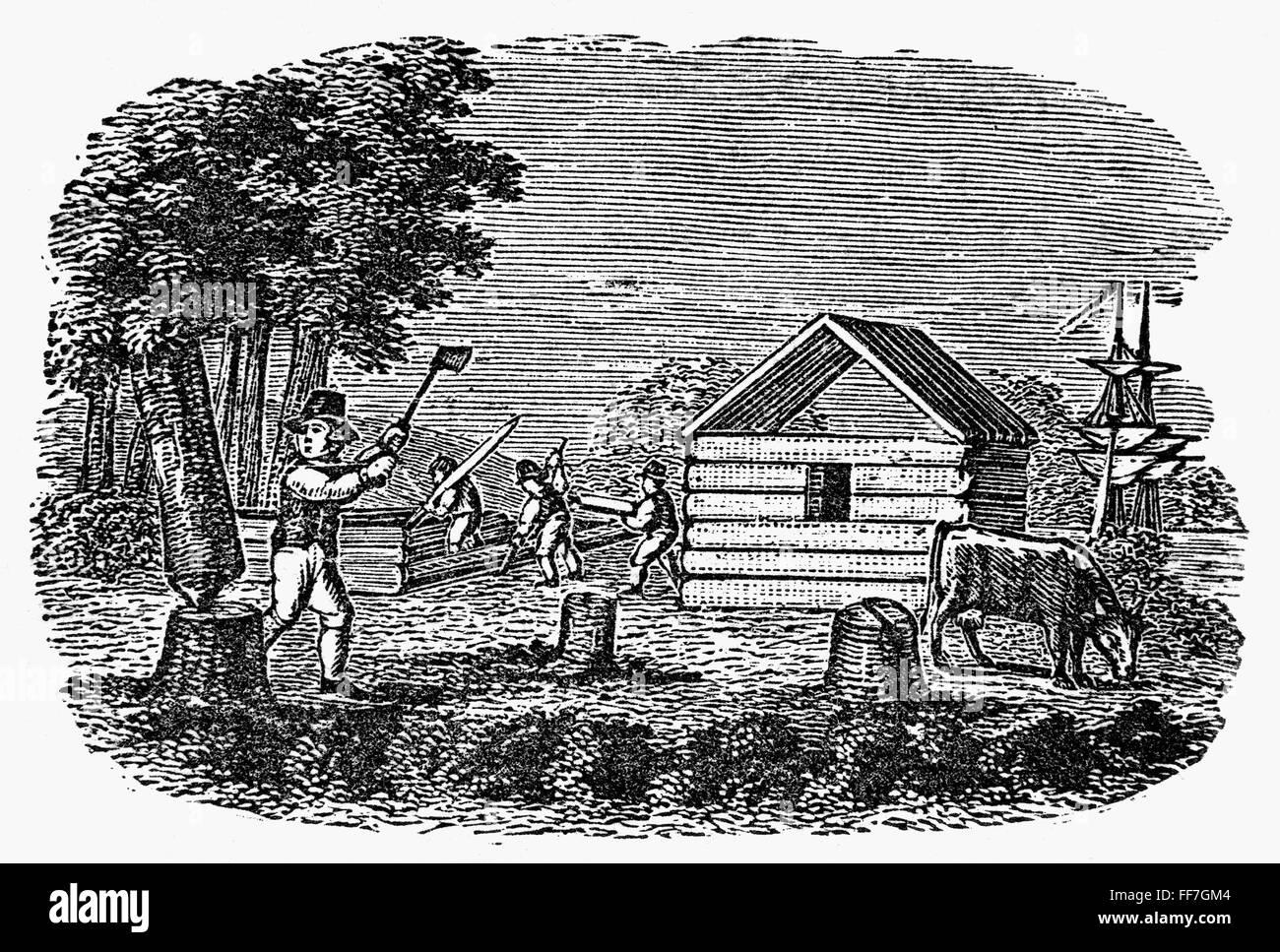COLONIAL FARM SITE. /nThe establishment of a farm site in 18th century ...