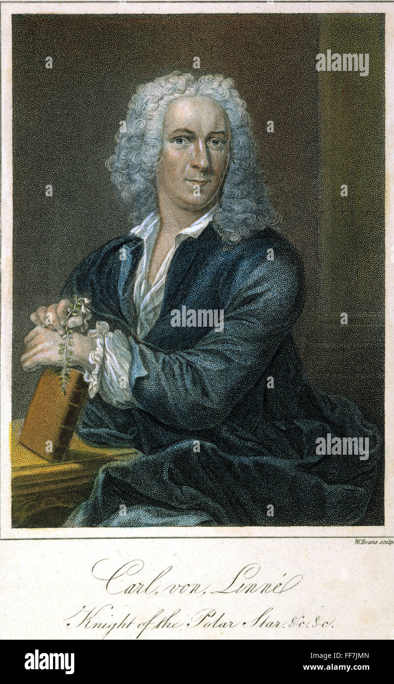 CAROLUS LINNAEUS (1707-1778). /nSwedish botanist. Stipple engraving ...