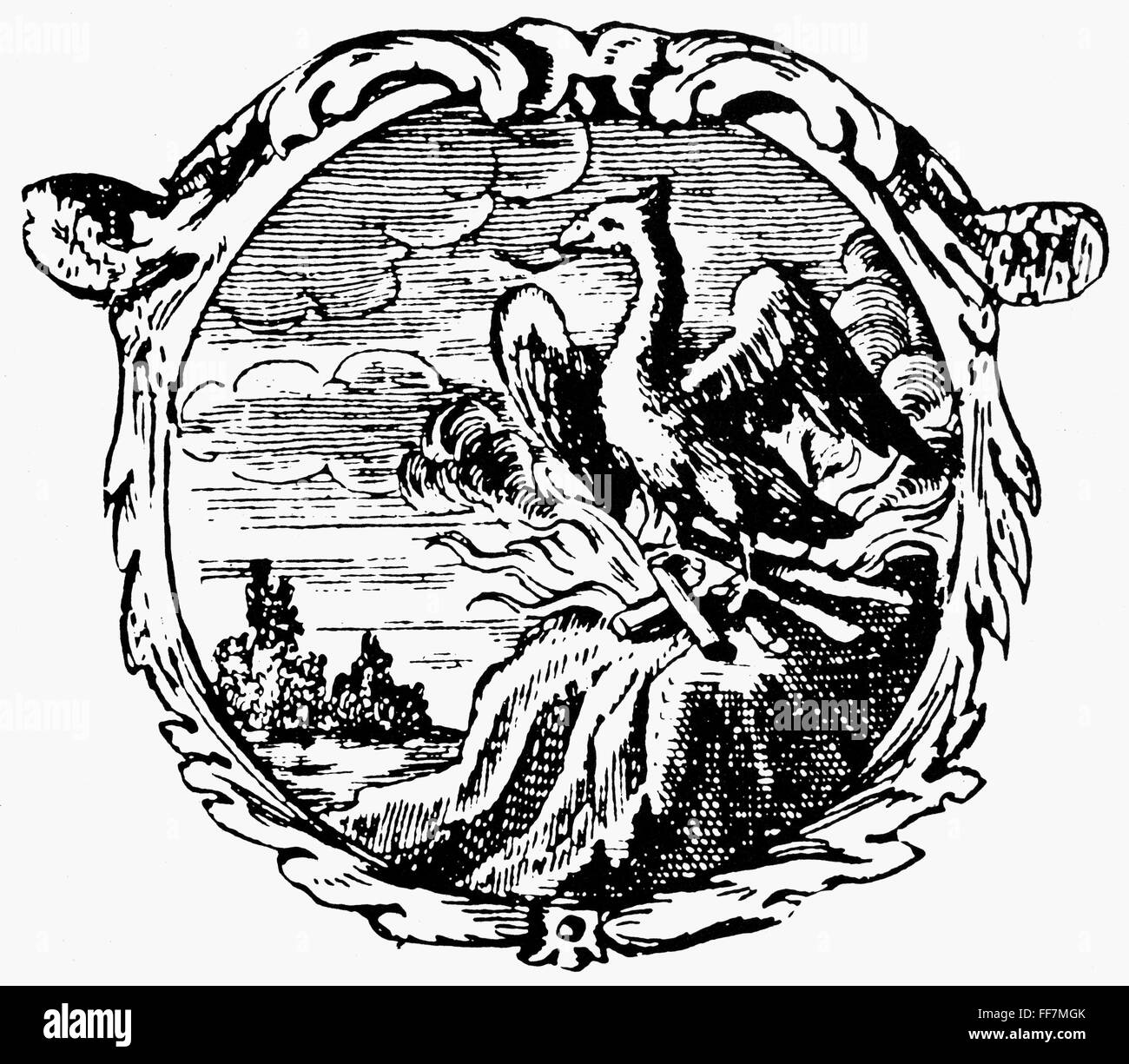 Phoenix bird engraving hi-res stock photography and images - Alamy