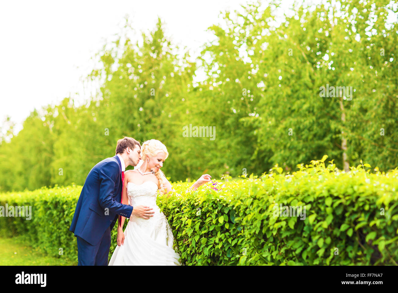 Wedding, Beautiful Romantic Bride and Groom Kissing and Embracing Stock ...