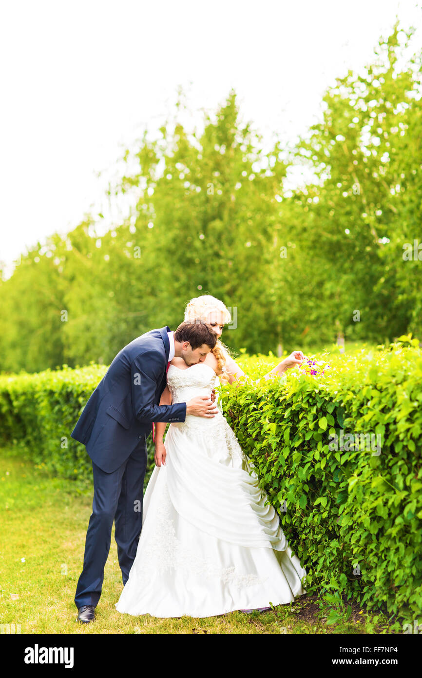 Wedding, Beautiful Romantic Bride and Groom Kissing and Embracing Stock ...