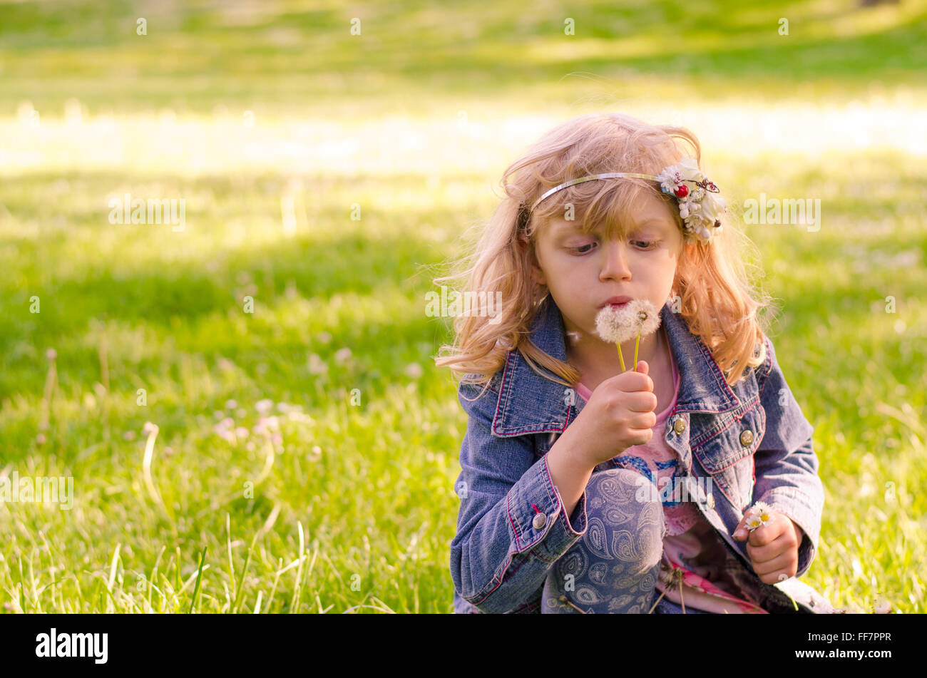 adorable blond girl sitting in green meadow and blowing dandelion ...