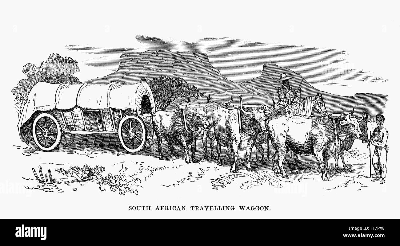 SOUTH AFRICA: BOERS. /n'South African travelling wagon.' Boers ...