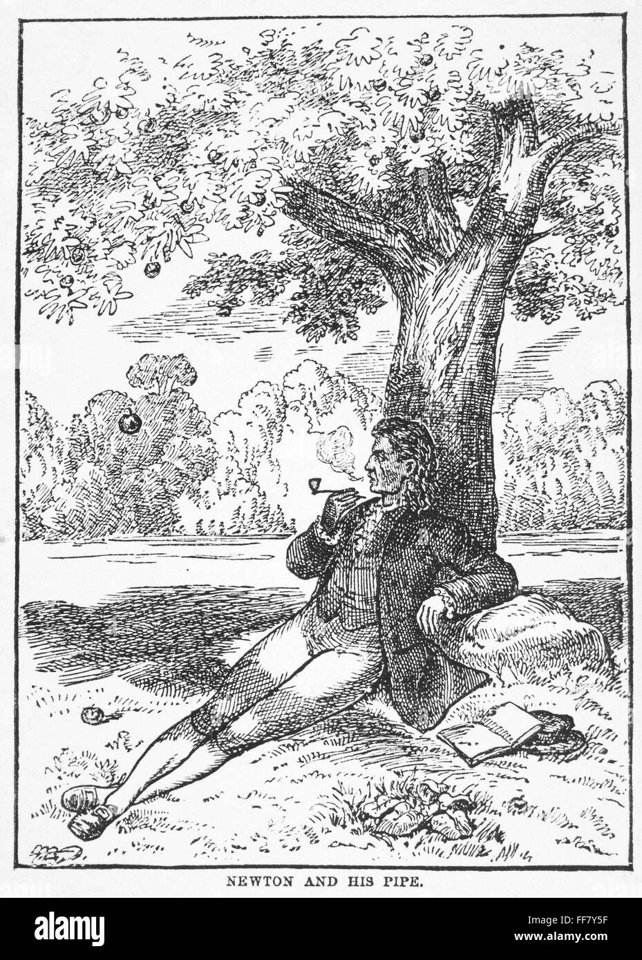 ISAAC NEWTON AND THE APPLE. /nEnglish physicist and mathematician ...