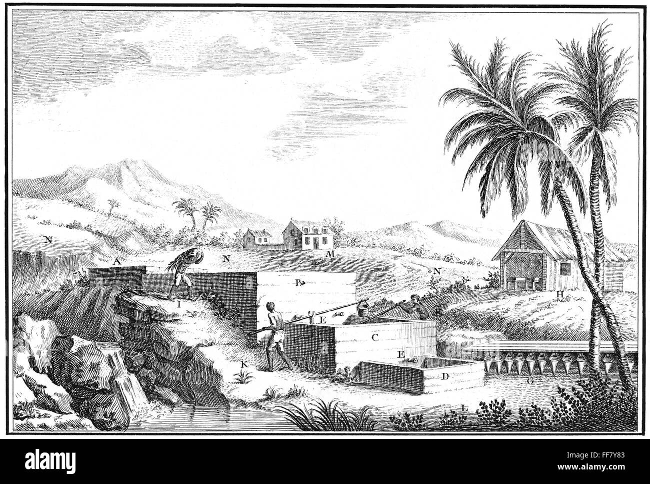 SLAVERY: WEST INDIES. /nSlaves on an indigo plantation in the West ...