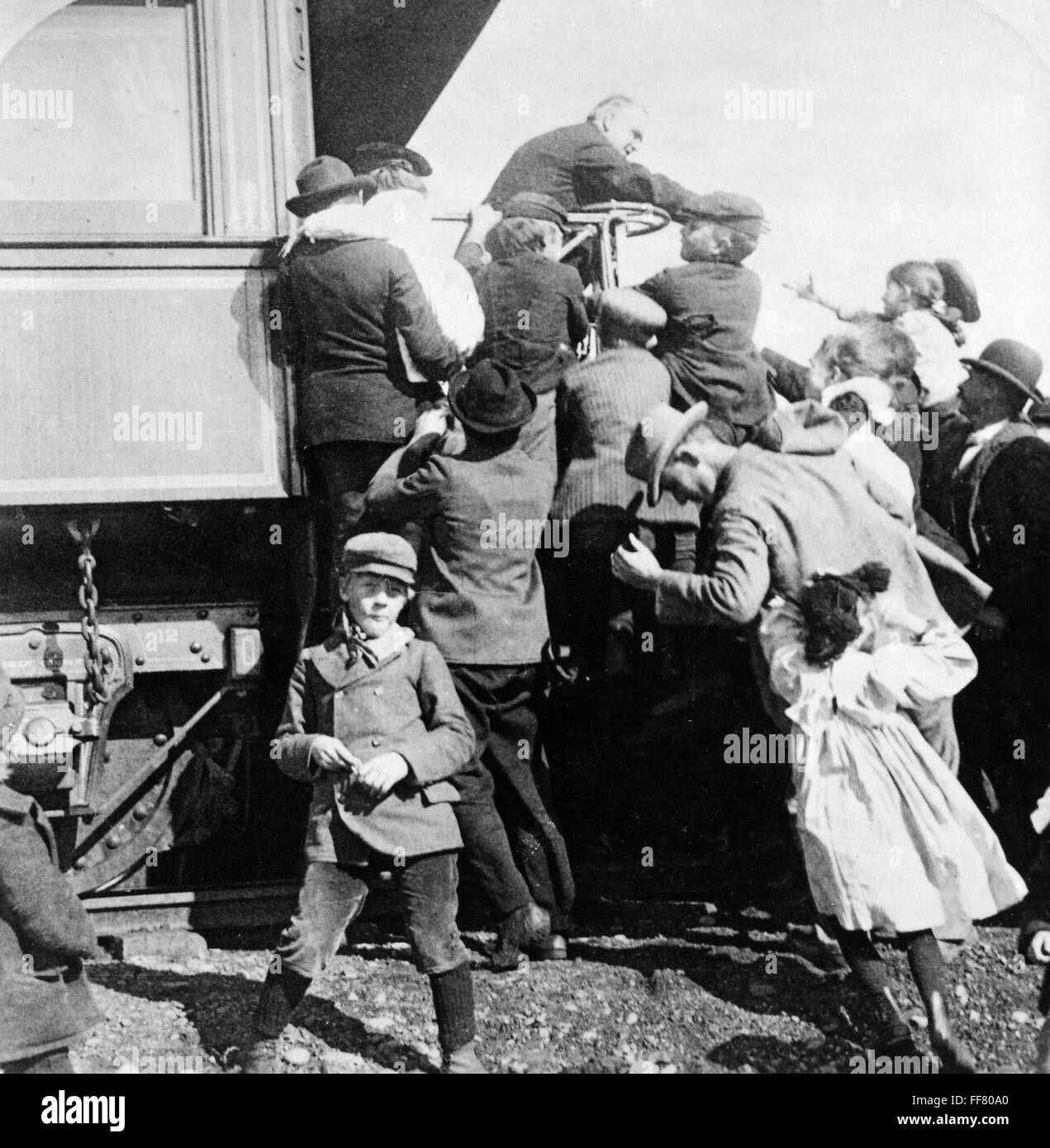 WILLIAM McKINLEY (1843-1901). /n25th President of the United States ...