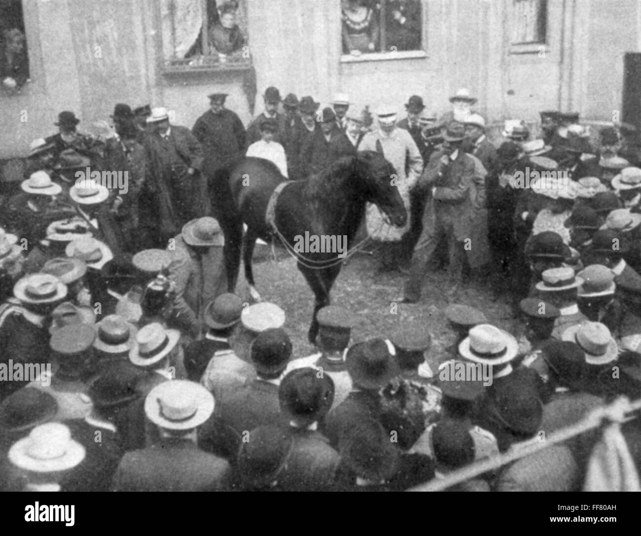 CLEVER HANS, 1904. /nClever Hans, the German 'thinking horse ...