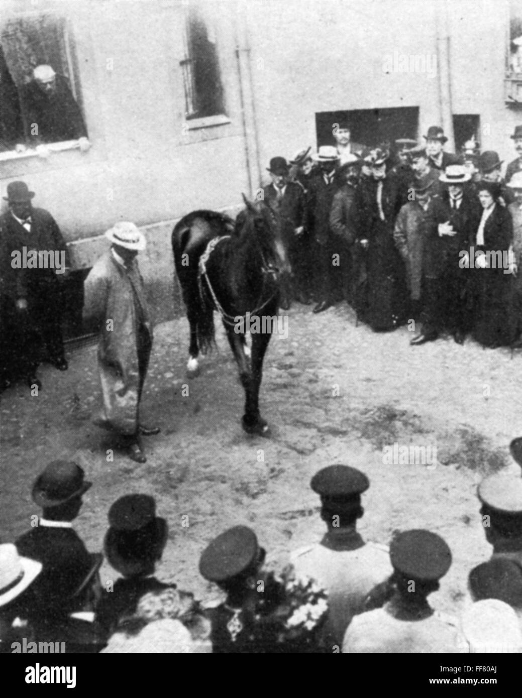 CLEVER HANS, 1904. /nClever Hans, the German 'thinking horse,' 'solving ...