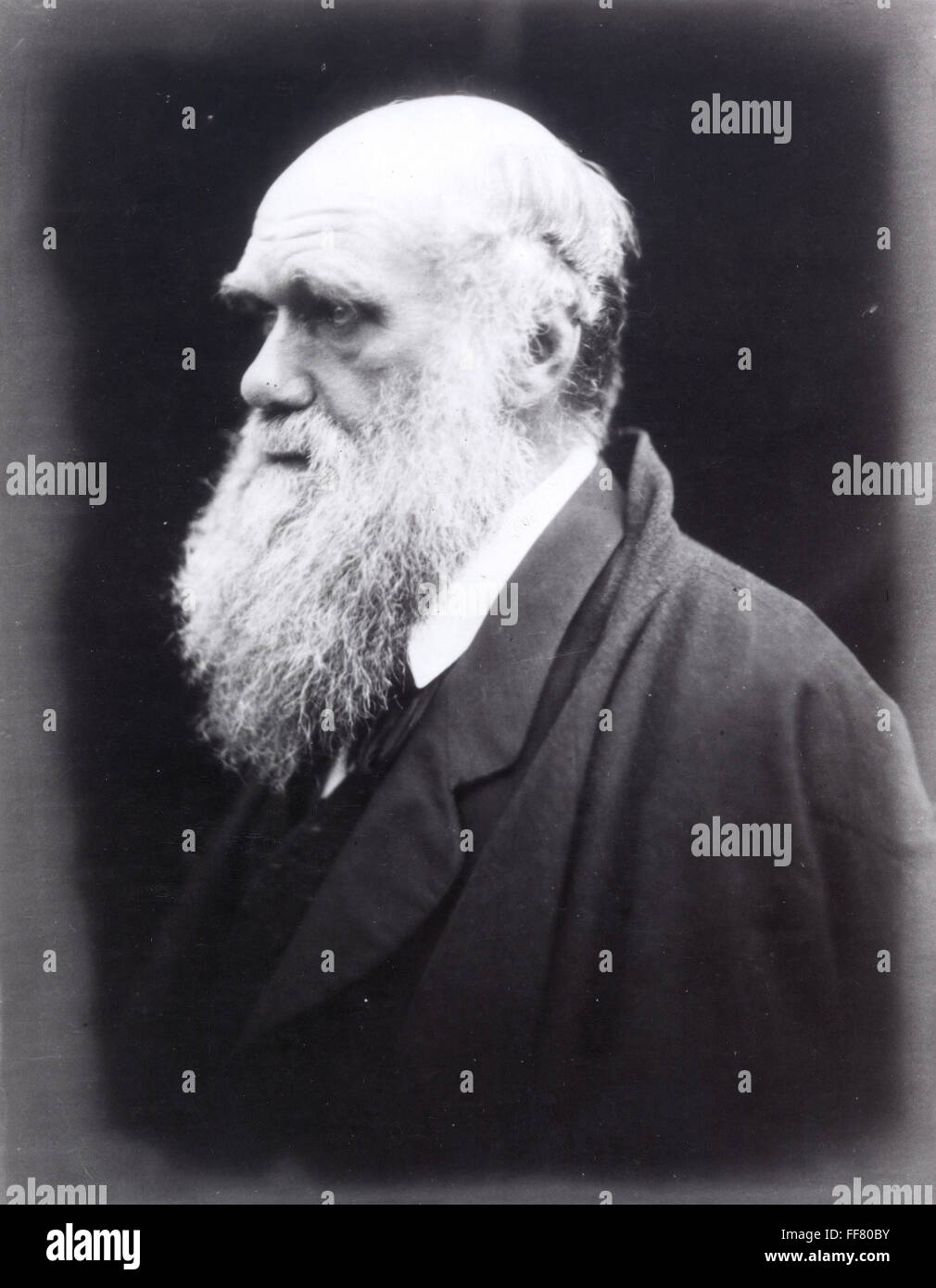 CHARLES DARWIN (1809-1882). /nEnglish naturalist. Photographed, 1869 ...