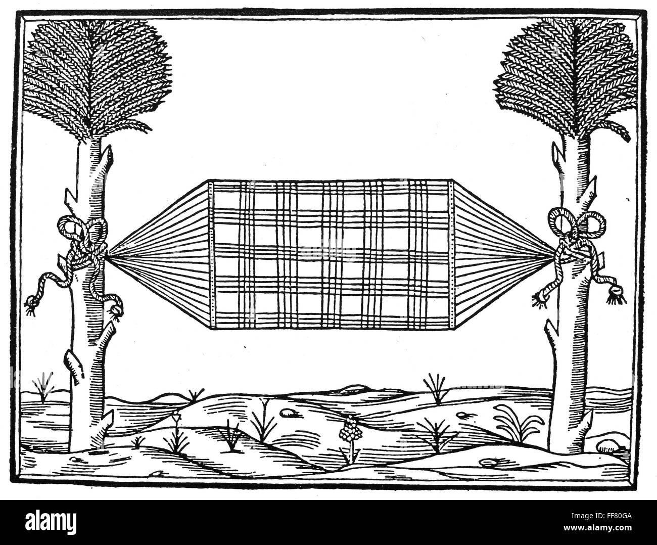 NATIVE AMERICANS: HAMMOCK, 1547. /nA Native American hammock. Woodcut ...