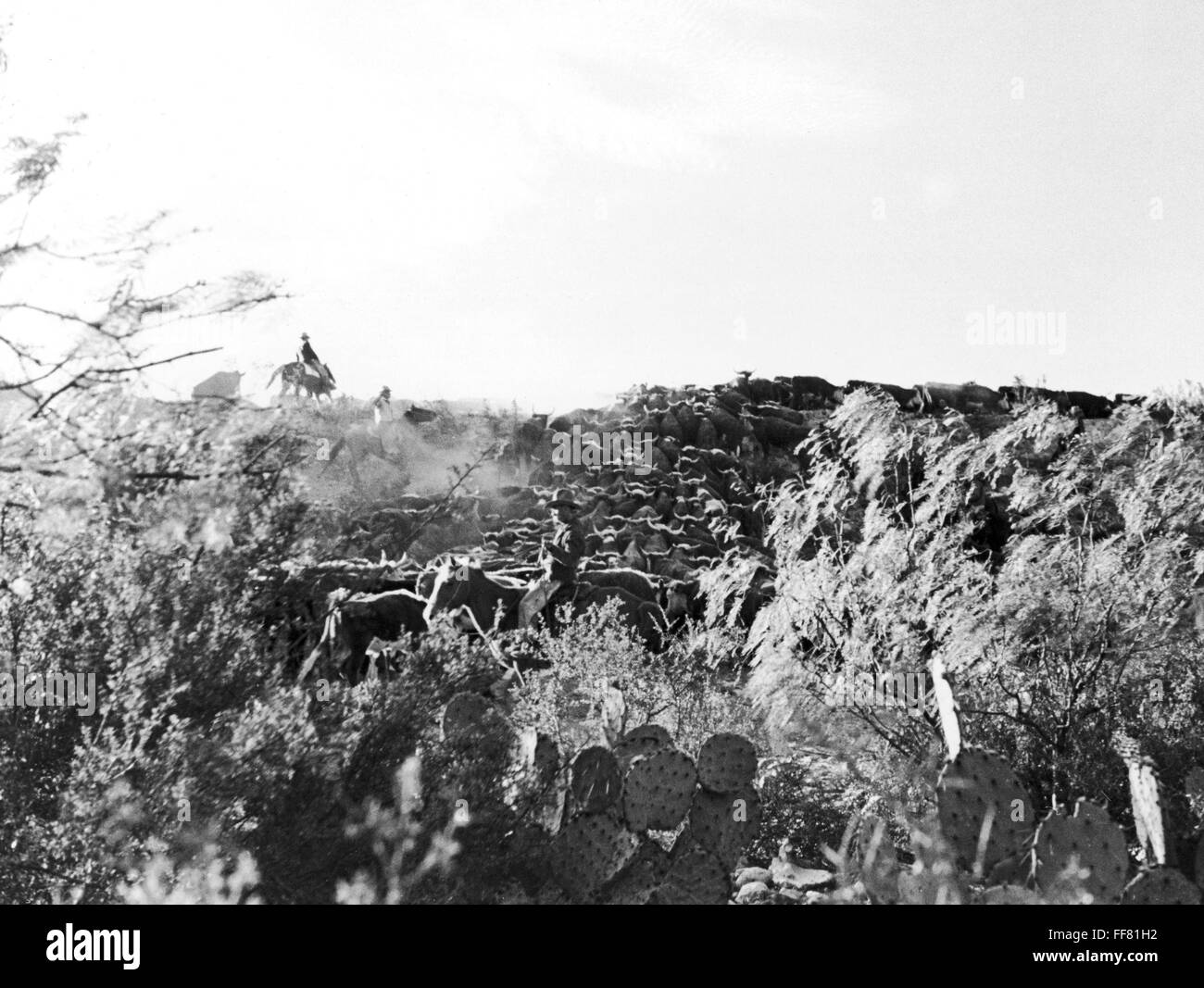 SILENT FILM STILL: WESTERN Stock Photo - Alamy