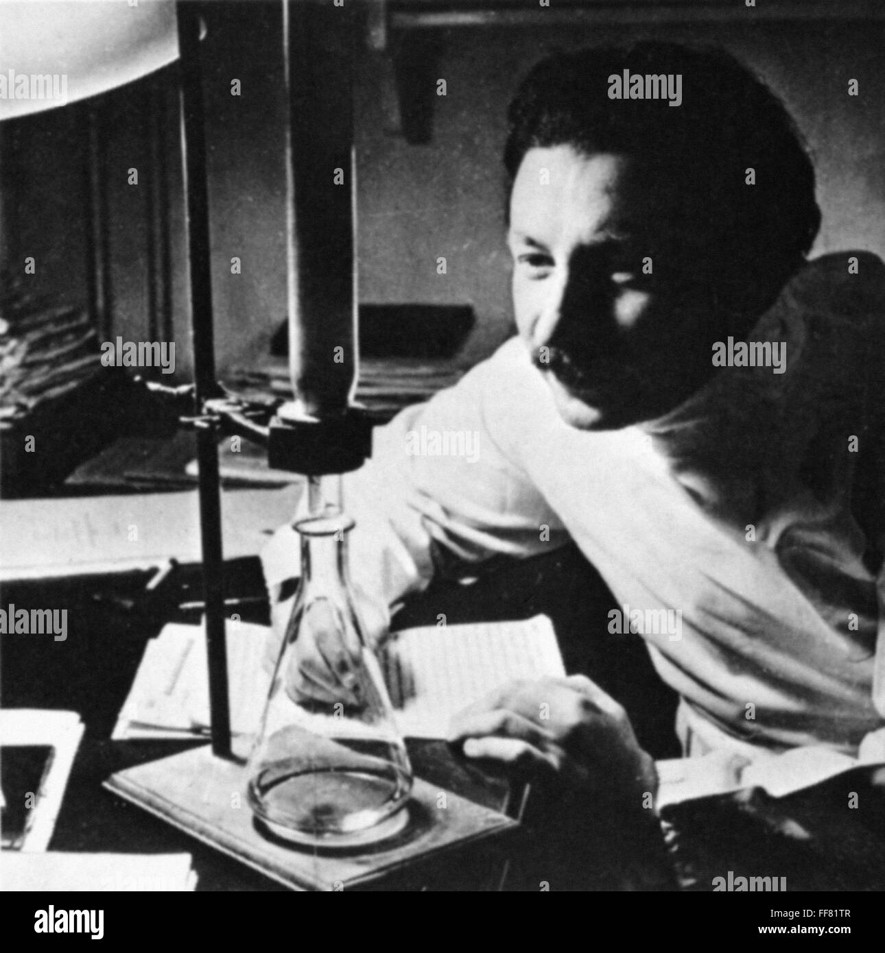 ERNST BORIS CHAIN (1906-1979). /nEnglish (German-born) biochemist Stock ...