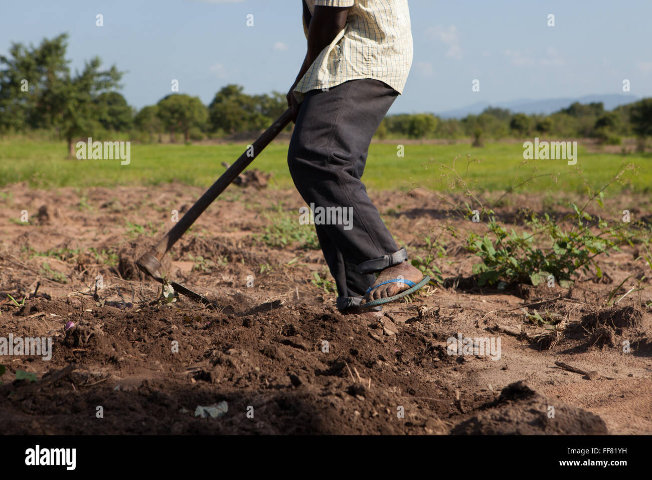 Hoe tool hi-res stock photography and images - Alamy