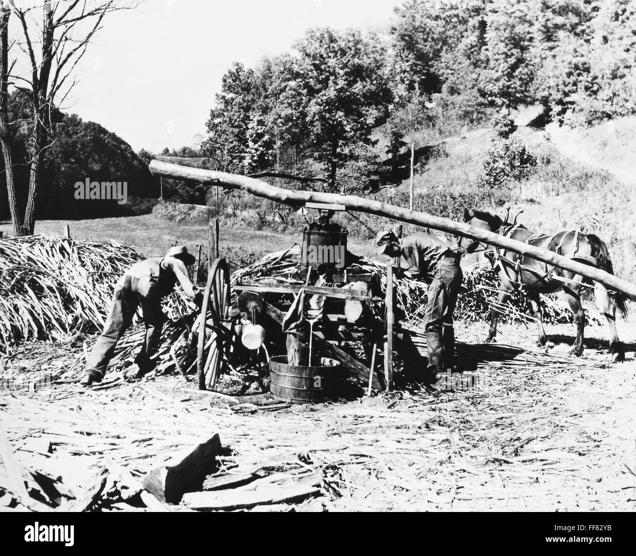 AMERICA: FARMING, c1900. /nOhio farmers using horsepower to crush ...