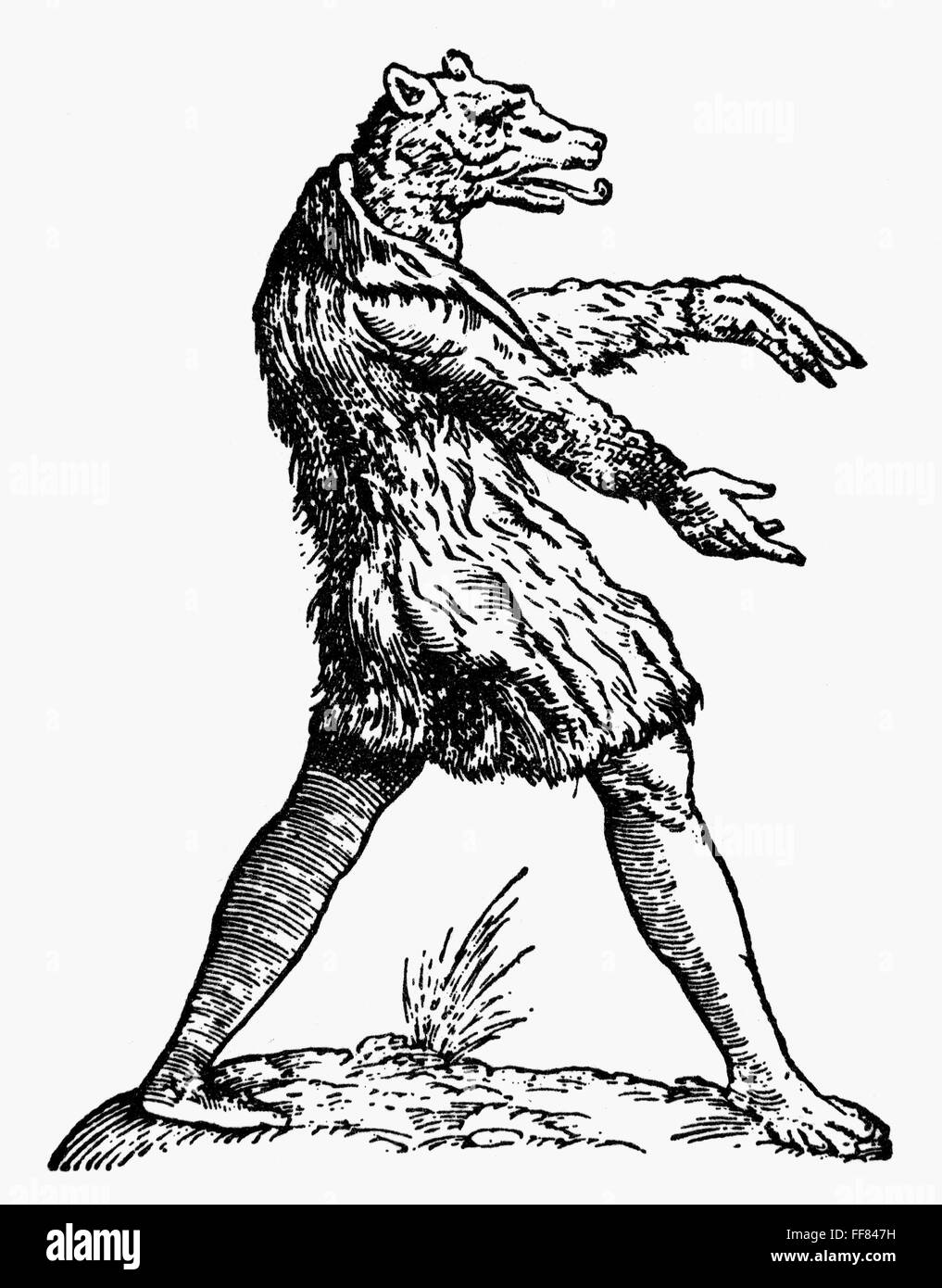 DOG-HEADED MAN, 1642. /nThe Dog-headed man of India. Woodcut from ...