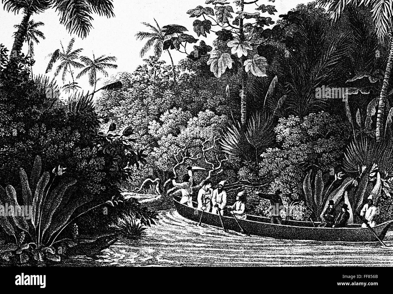 TRAVELS IN BRAZIL, 1820. /nA drawing from Prince Alexander Philipp ...
