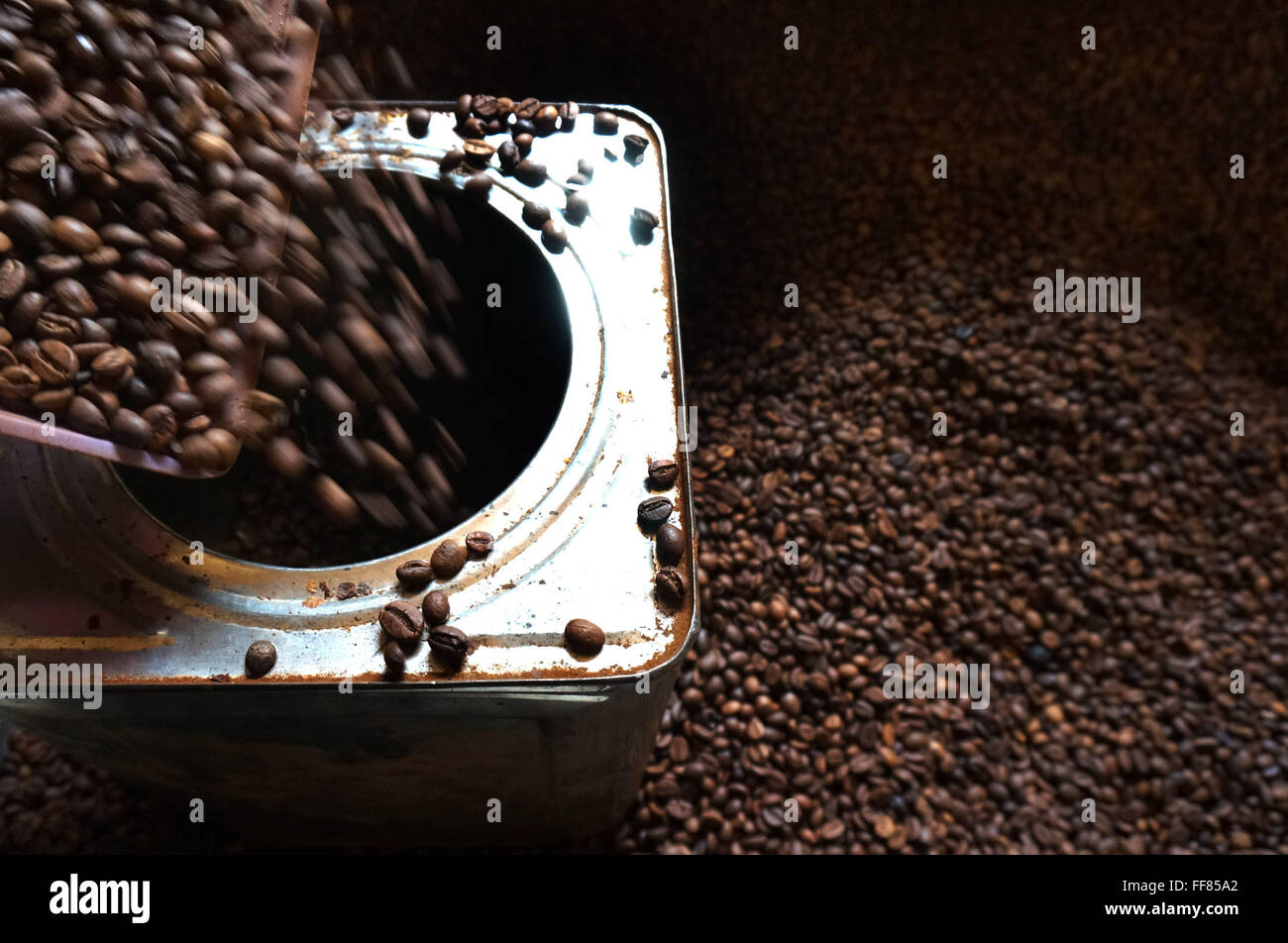 Pasuruan, Indonesia. 11th Feb, 2016. The coffee beans are milled ...