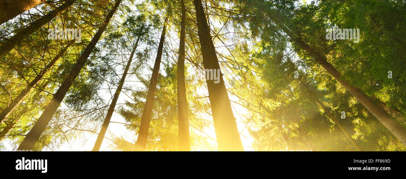 Summer summertime sun hi-res stock photography and images - Alamy