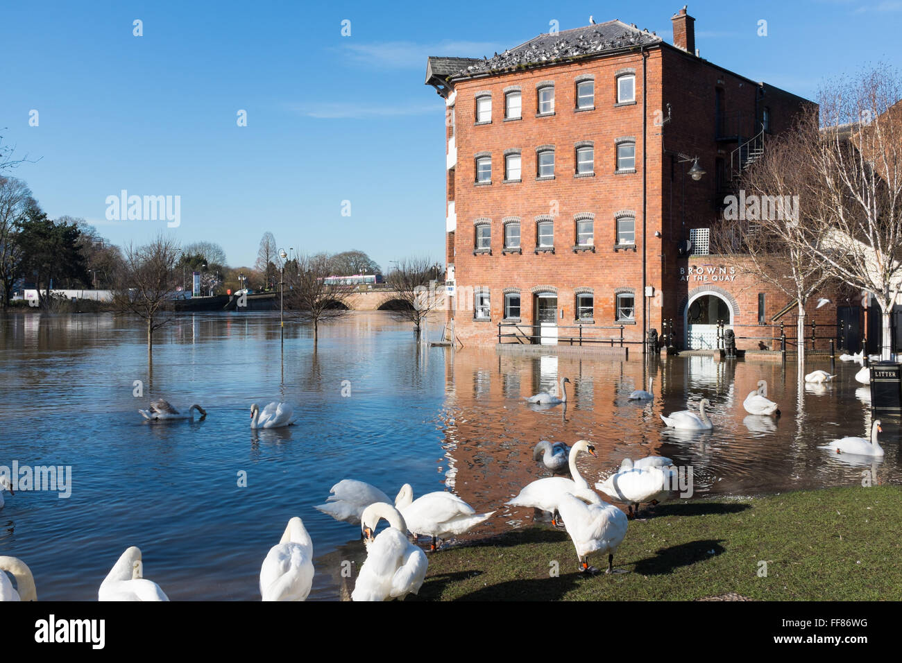 Flooding on the River Severn in the centre of Worcester Stock Photo - Alamy
