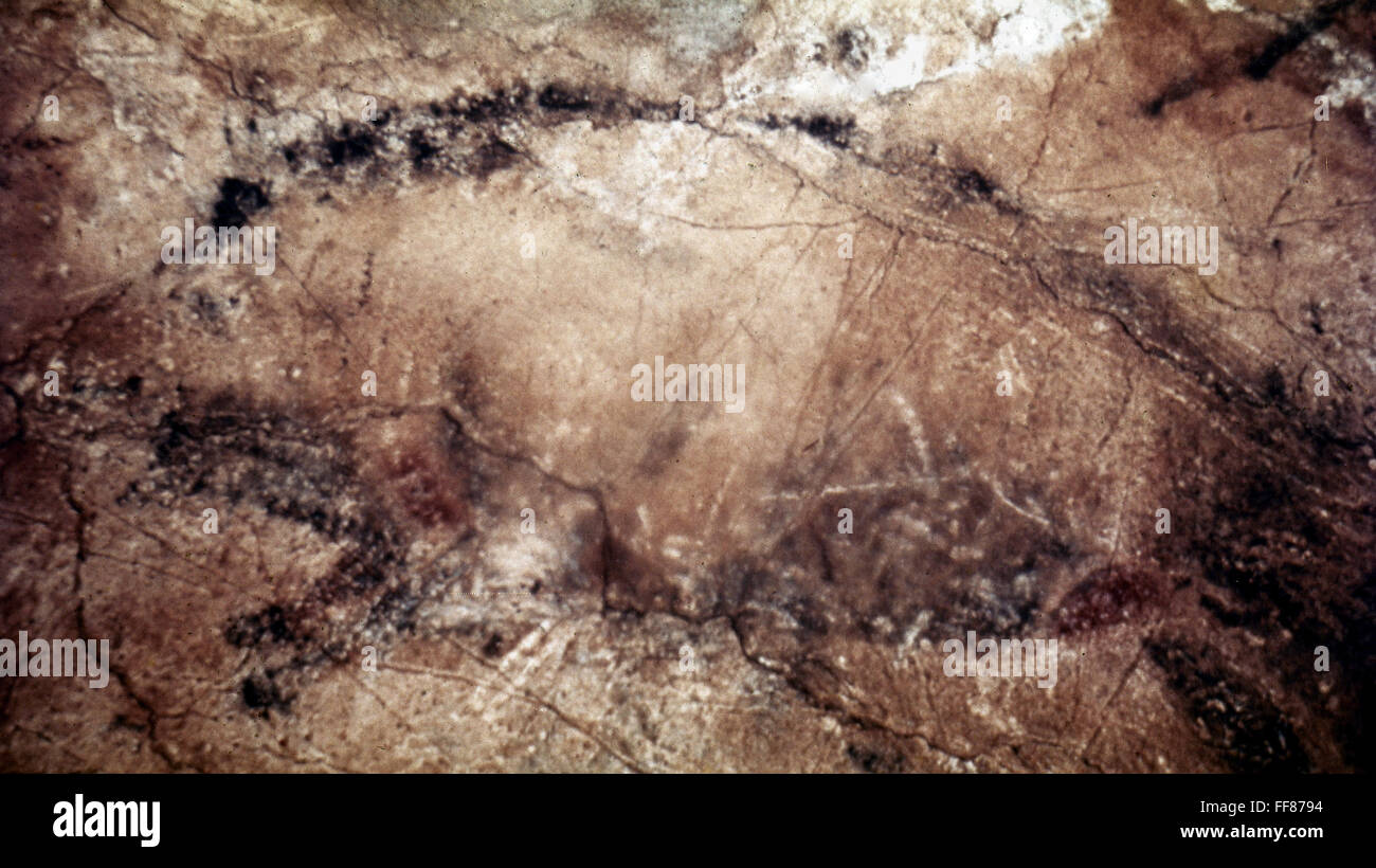 CAVE ART. /nRunning wild boar from Cave of Altamira, Santander, Spain ...